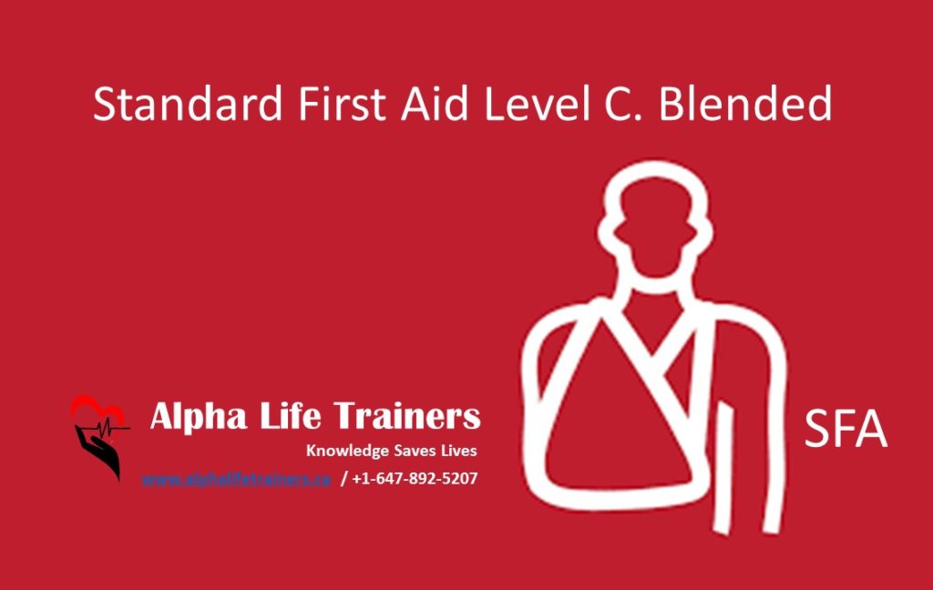 Blended First Aid Course. Alpha Life Trainers.